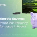 Counting the Savings: Scalstrm’s Cost-Efficiency & Performance in ...